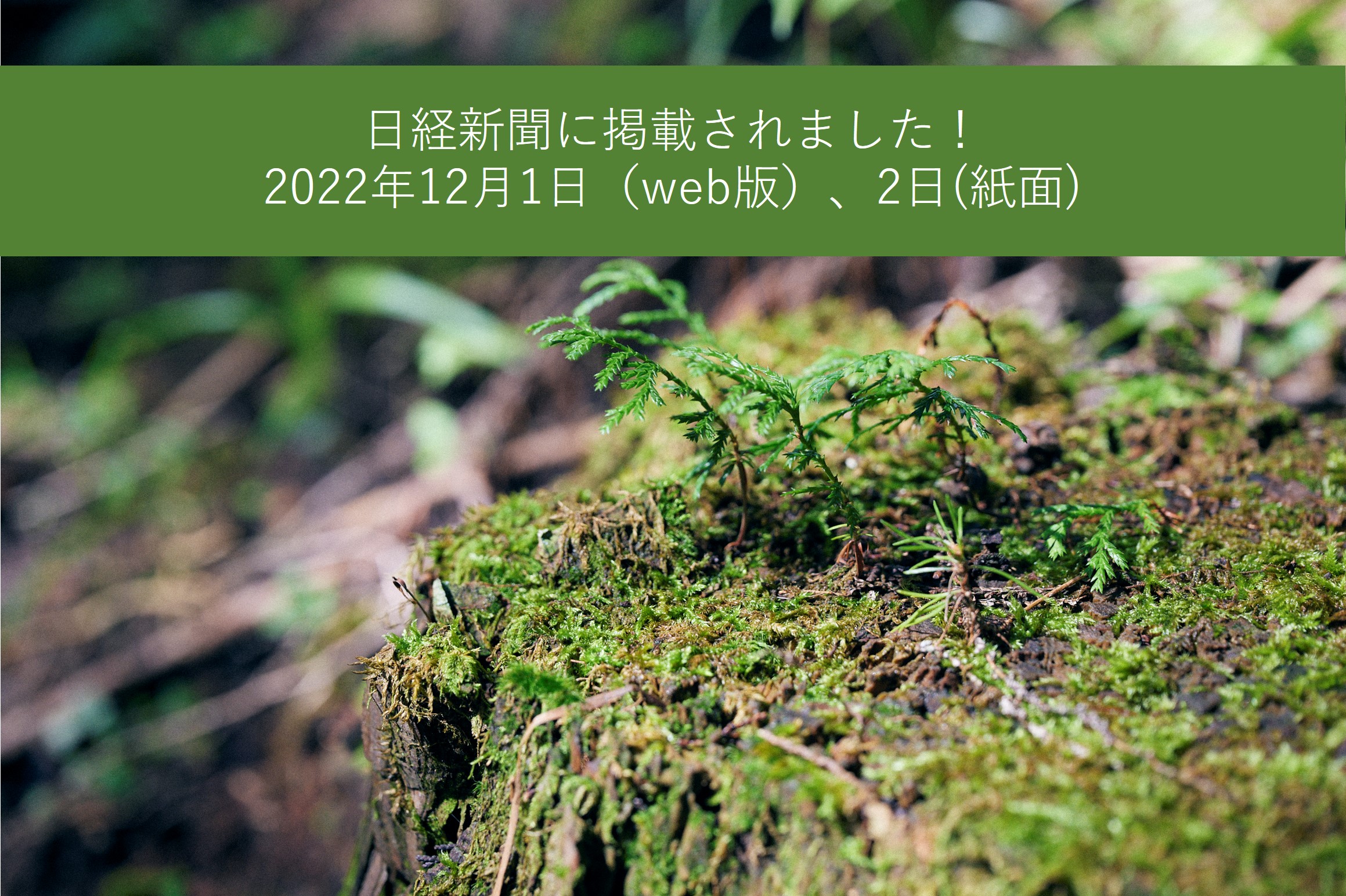 日本経済新聞に掲載されました【2022/12/02】 | 青葉組株式会社